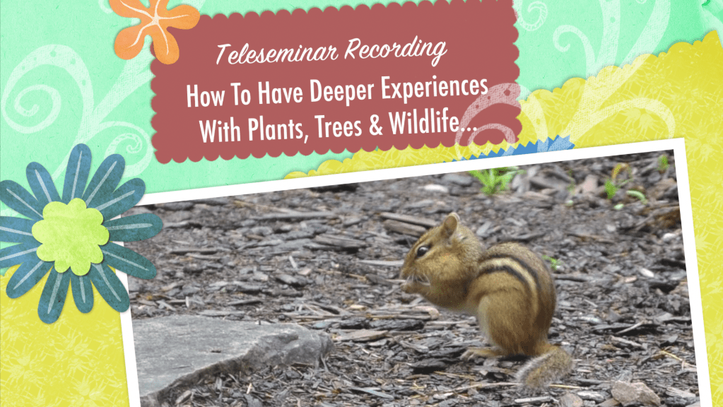 How To Have Deeper Experiences With Plants, Trees, Birds And Other ...