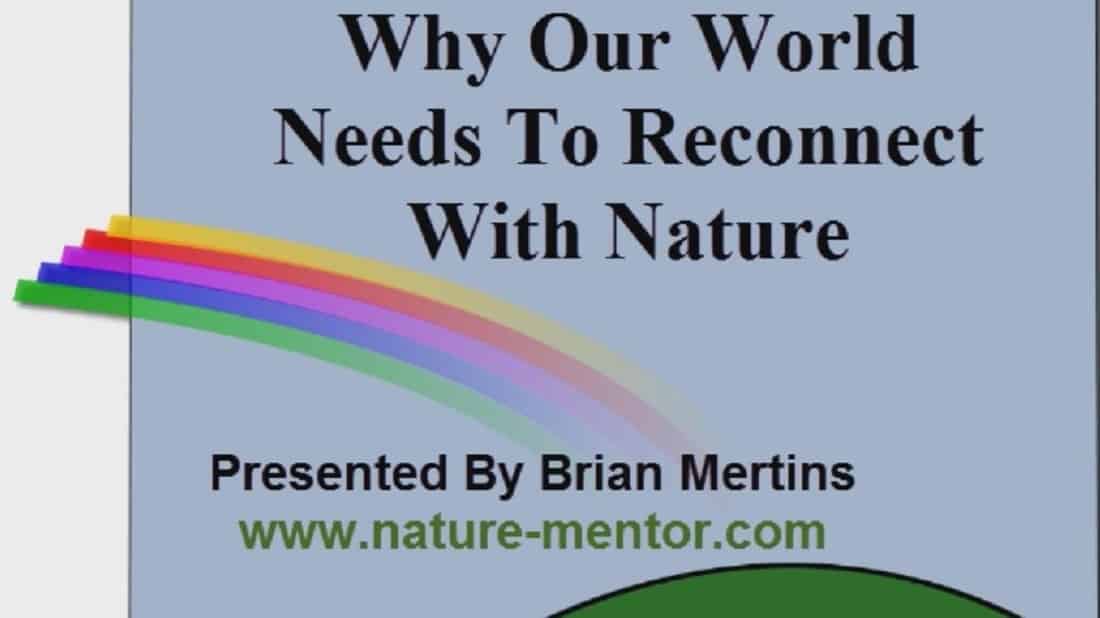 Why Our Whole World Needs To Reconnect With Nature