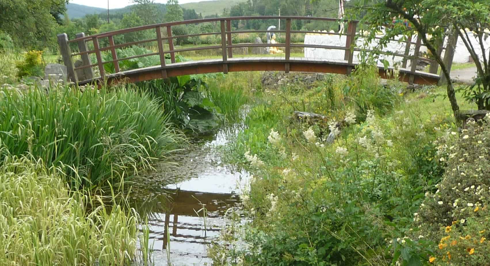 How To Connect With Nature (13 Easy Ways To Find Deep & Calm Connection)