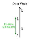 Deer Tracks And What They Tell You (ID, Speed, Direction, etc)