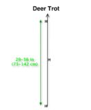 Deer Tracks And What They Tell You (ID, Speed, Direction, etc)