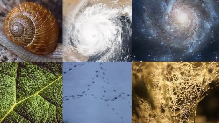 How To Understand Nature (What is nature? 6 ways to SEE it for yourself)